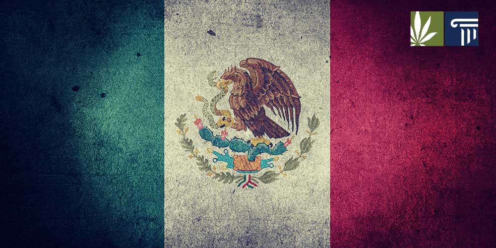 Mexico Introduces Marijuana Legalization Bill | Marijuana and the Law