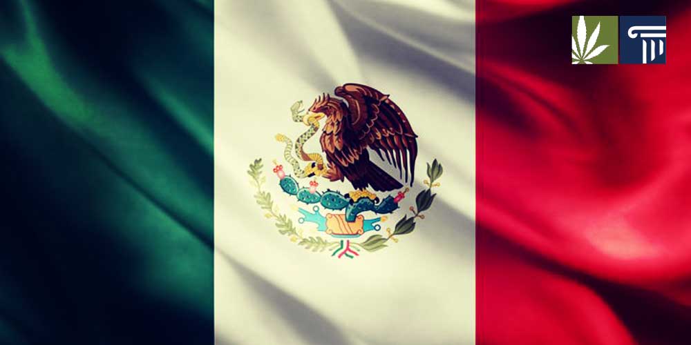 Mexico Polls Citizen On Whether To Legalize Marijuana | Marijuana and ...