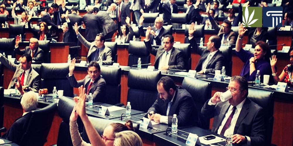 Mexican Marijuana Legalization Bill Poised For Senate Vote | Marijuana ...