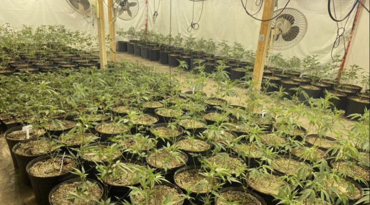 Low-Flying Helicopter Used to Smuggle Cannabis from Canada to US ...